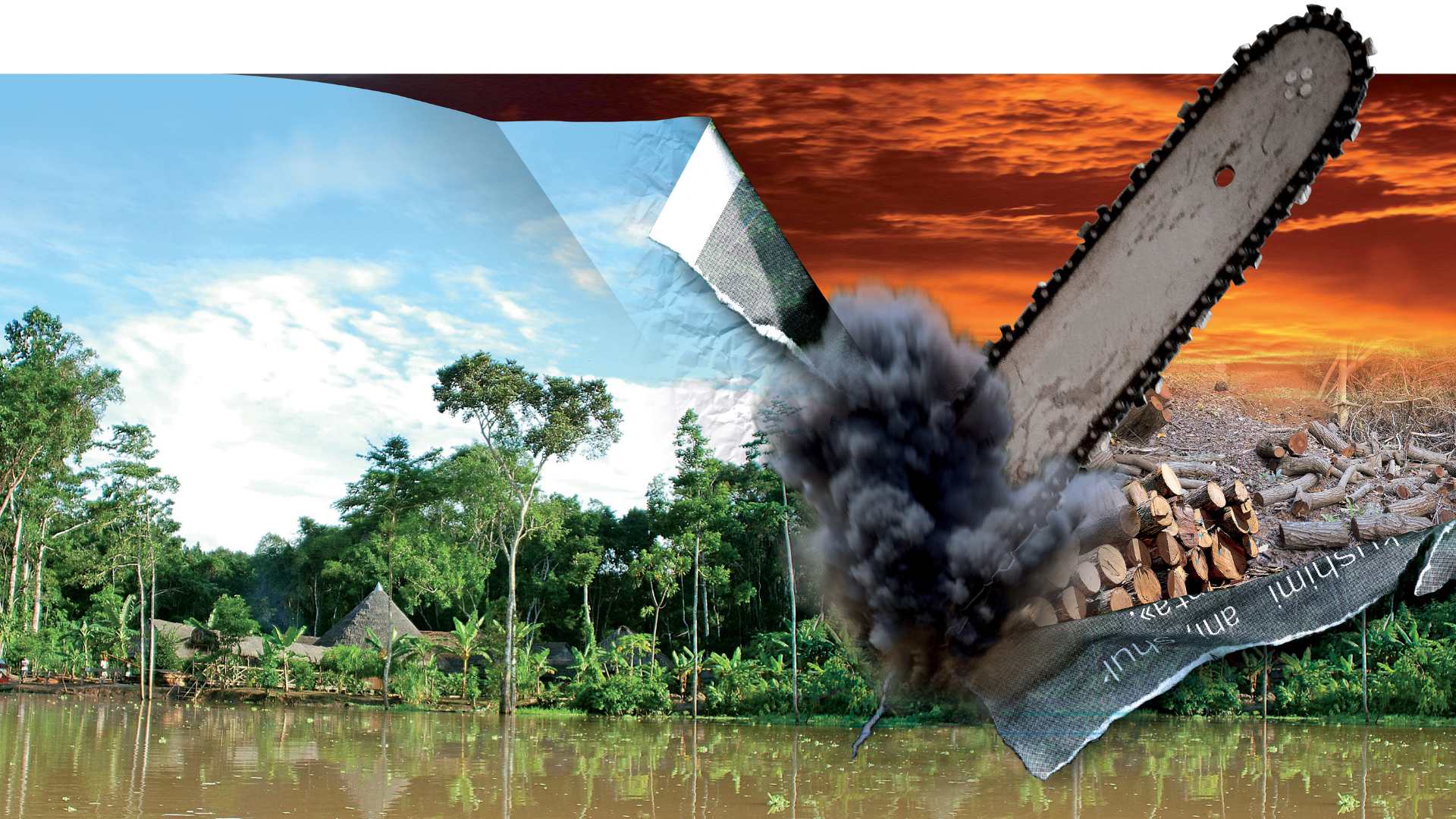 What are the Main Threats Facing the Amazon Rainforest Today? - Fund ...
