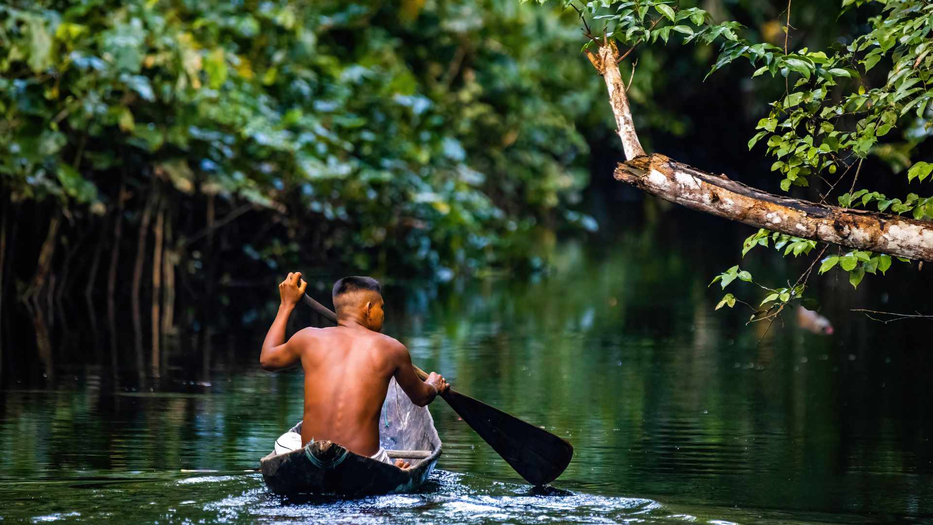 Indigenous people and the Amazon: An Ancient Connection - Fund the Planet