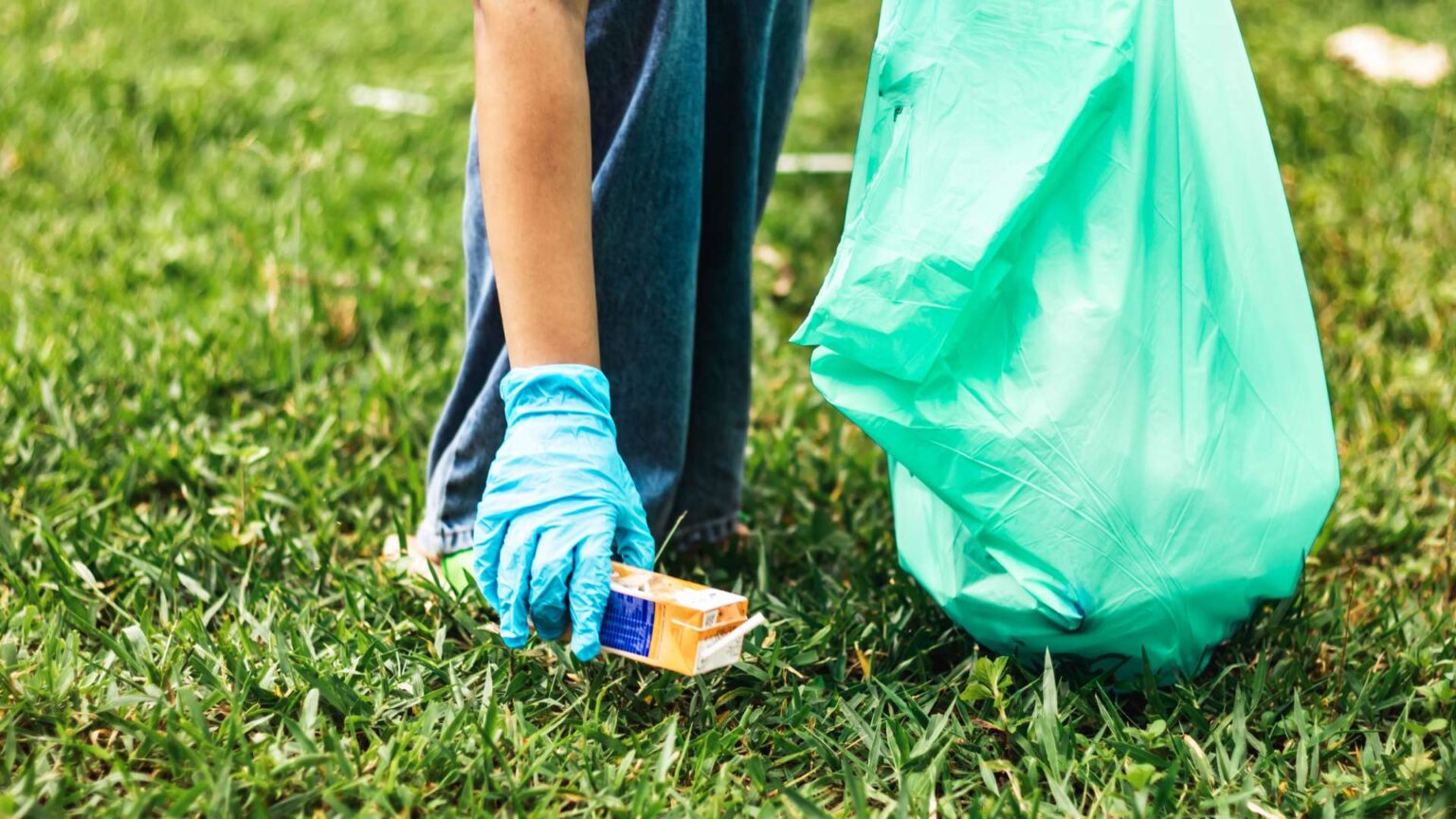 How to Protect Nature: Simple Tips for Everyday Eco-Friendly Living ...